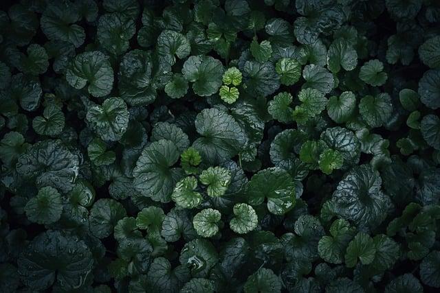 How To Adjust The TaylorMade M4 Driver: Optimize Performance ...